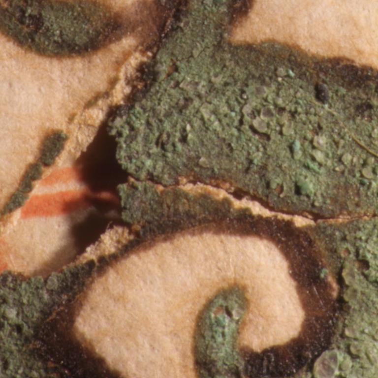 Bodleian Library | National Manuscripts Conservation Trust